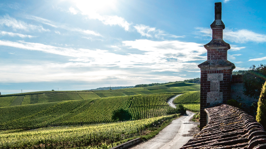 Code:Wine | Η σαμπάνια στα καλύτερα της | MANCODE STYLE